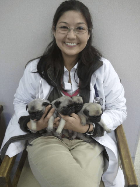 About Hart Animal Clinic | Vet In Fredericksburg, VA 22401