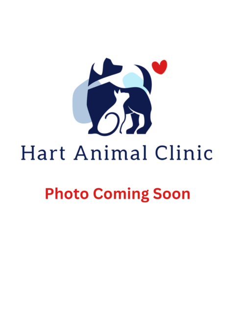 Veterinarian In Fredericksburg, VA | Hart Animal Clinic