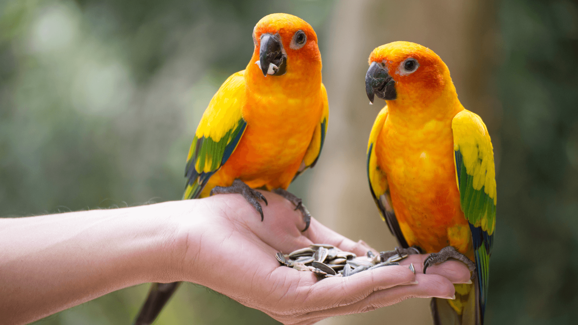 Exotic Pet Care In Fredericksburg, VA | Hart Animal Clinic