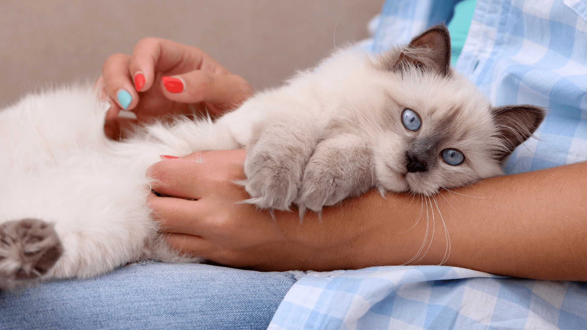 Hours Of Operations | Hart Animal Clinic